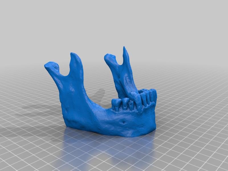 Skull Jaw Phone Tablet Business Card Stand 3D Printer Model Download ...