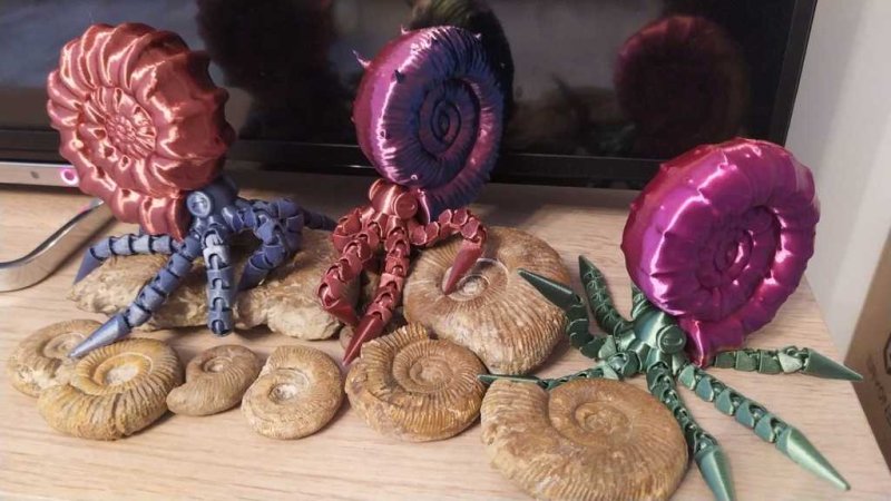New Articulated Ammonite (shell, Head And Tentacles) Flexible Print-in ...