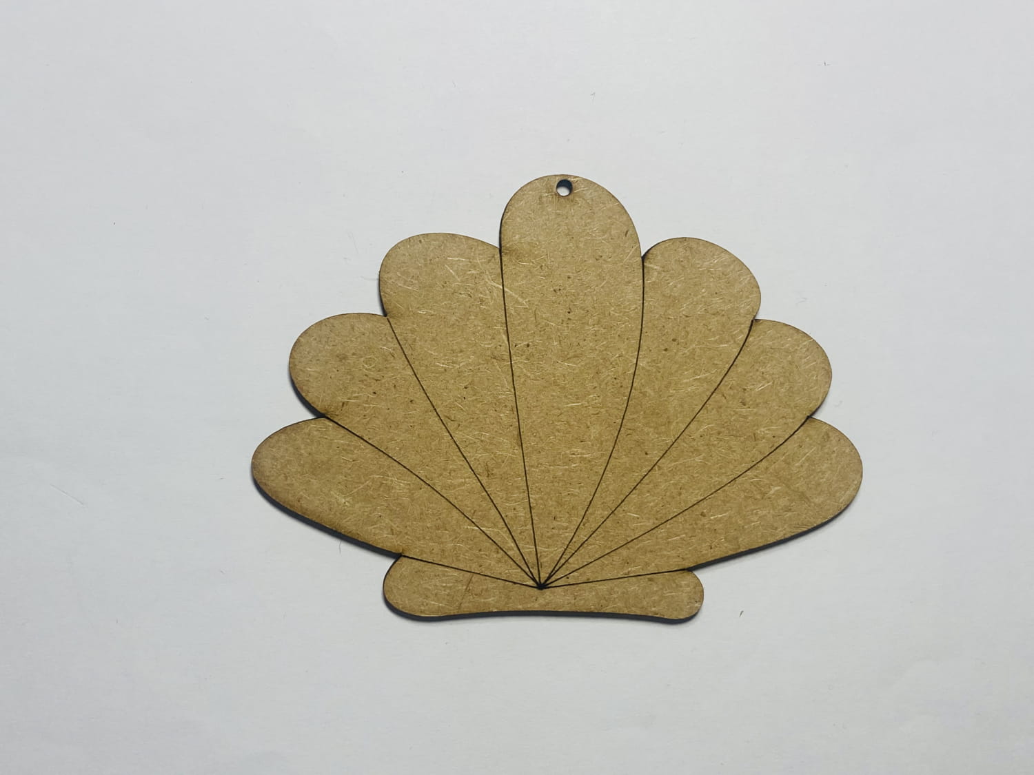 Laser Cut Sea Shell Shape Unfinished Wood Sea Shell Cutout SVG DXF CDR ...