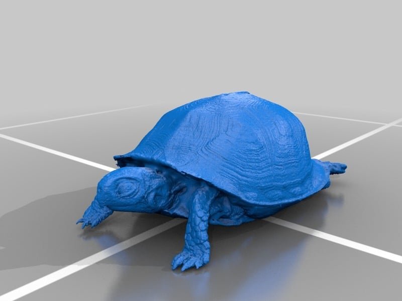 Box Turtle 3D Printer Model Download Free STL File - 3axis.co