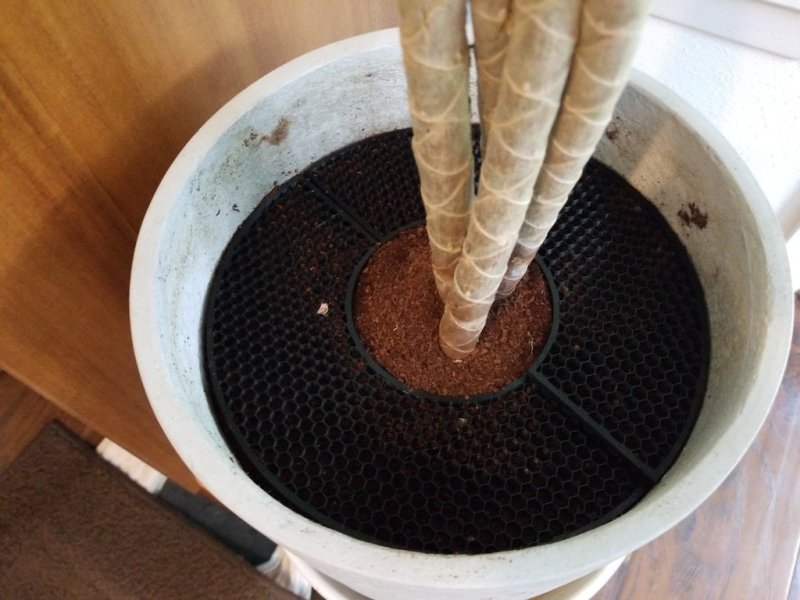 Plant Guard 3D Printer Model Download Free STL File - 3axis.co