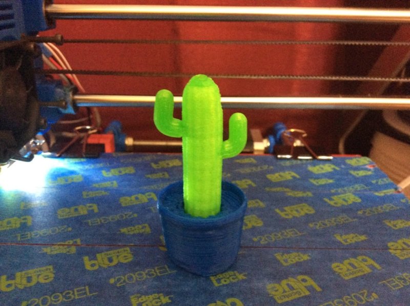 Cactus Plant 3D Printer Model Download Free STL File - 3axis.co
