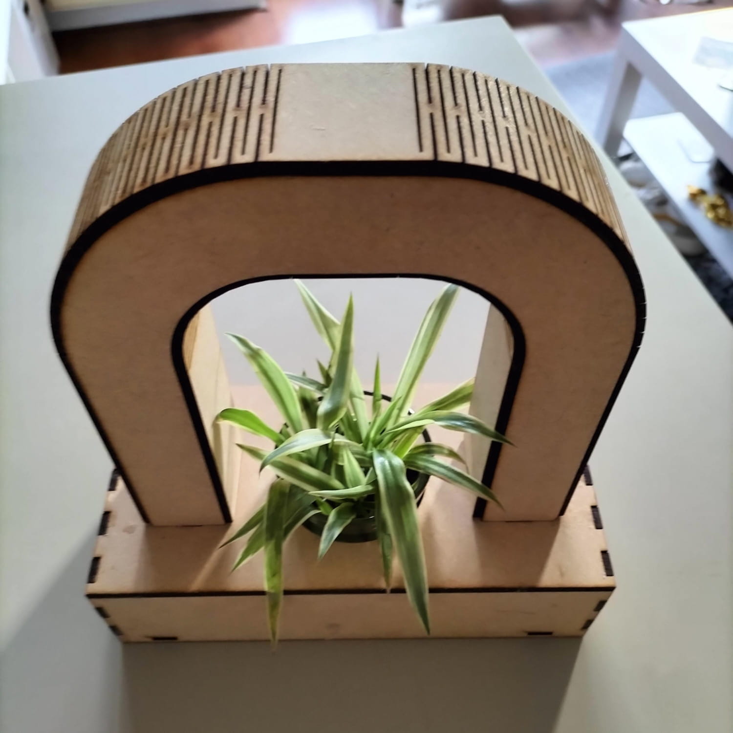 Laser Cut Wooden Plant Spotlight DXF File Free Download - 3axis.co