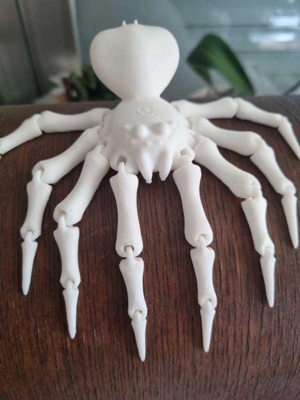 Articulated Spider Fixed 3D Printer Model Download Free STL File - 3axis.co