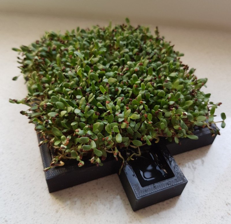 Cress Farm (growing Sprouts) 3D Printer Model Download Free STL File ...